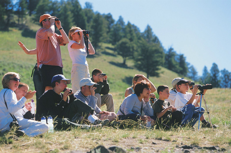 Tips for Planning a Family Vacation with a Tour Company - MiniTime